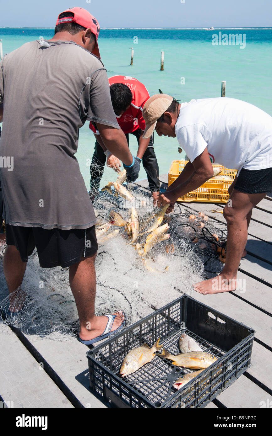 Catch and release net hi-res stock photography and images - Alamy