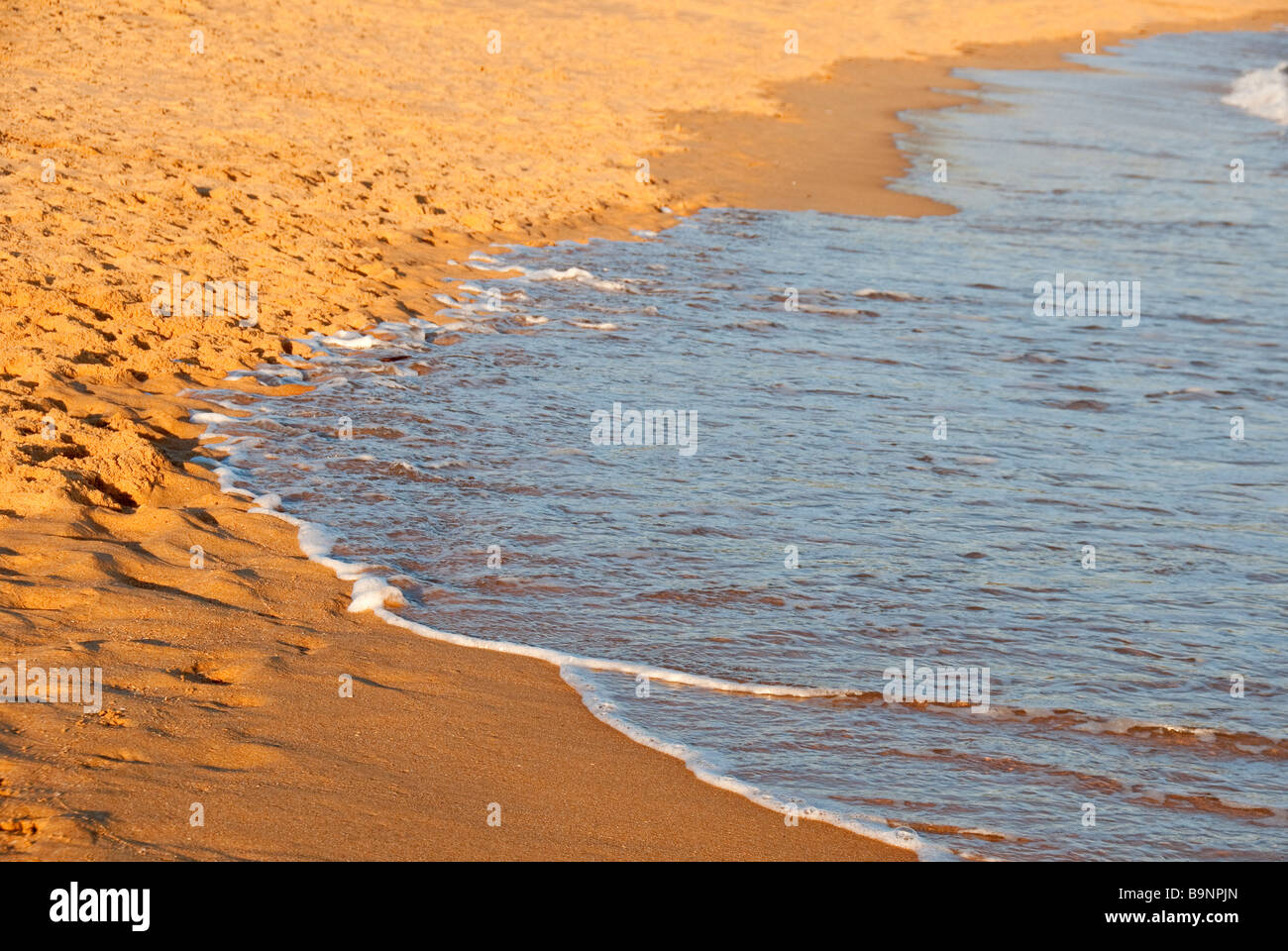 wave rushes up deserted beach Stock Photo - Alamy