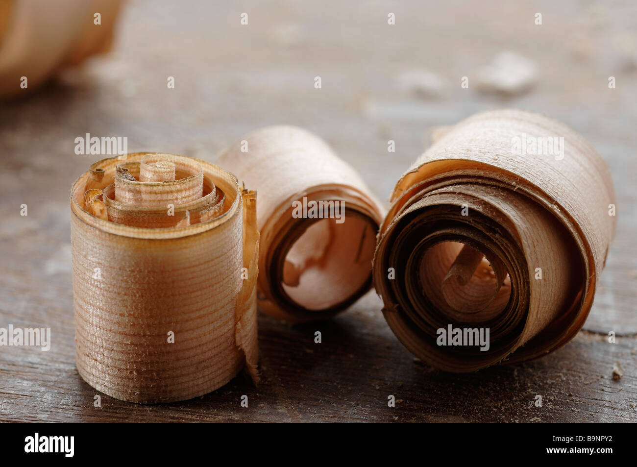 wood shaving shavings Stock Photo - Alamy