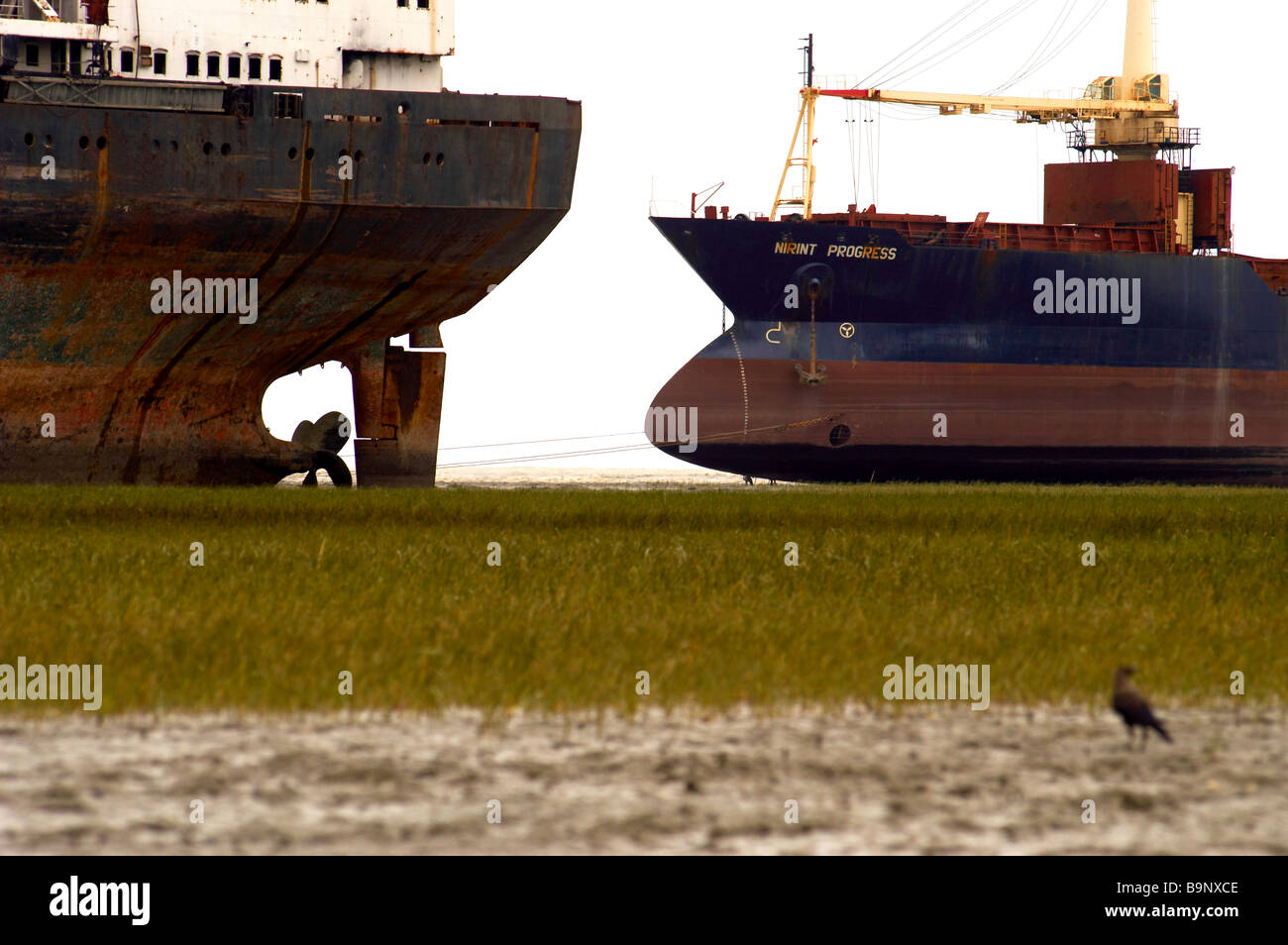 Ship breaking on the beach near Chittagong, Bangladesh Stock Photo - Alamy