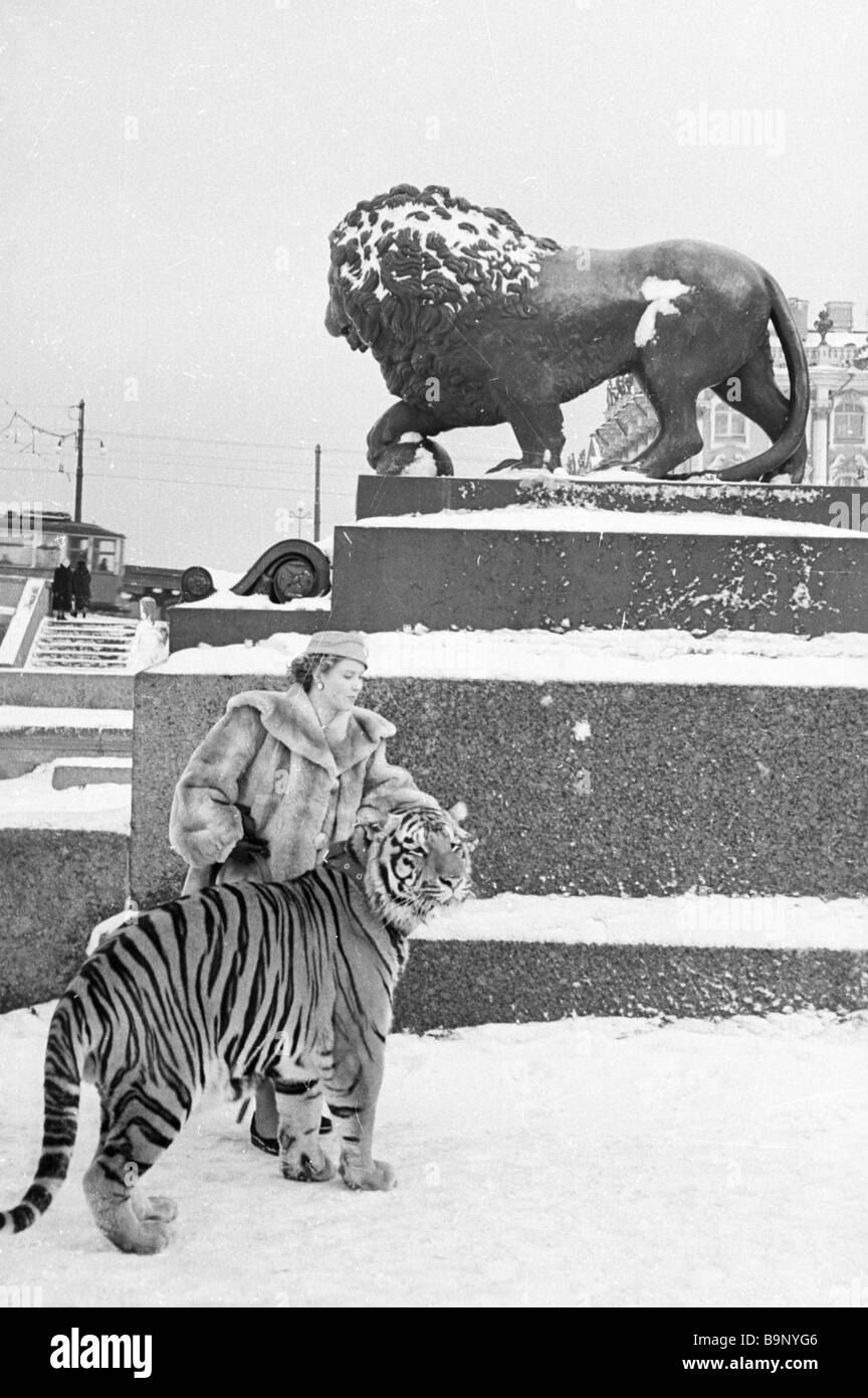 Tamer Margarita Nazarova with a tiger on the Neva river embankment ...