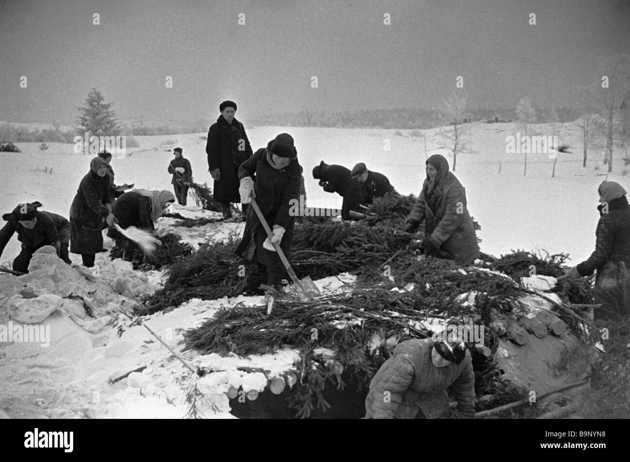 Leningradians digging trenches in winter Stock Photo - Alamy