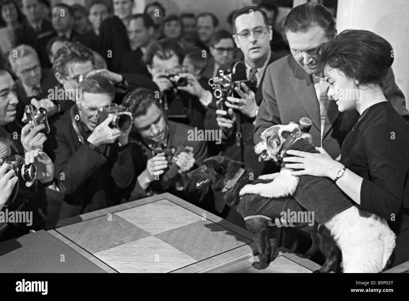 News photographers shooting dogs Chernushka and Zvezdochka arrived from ...