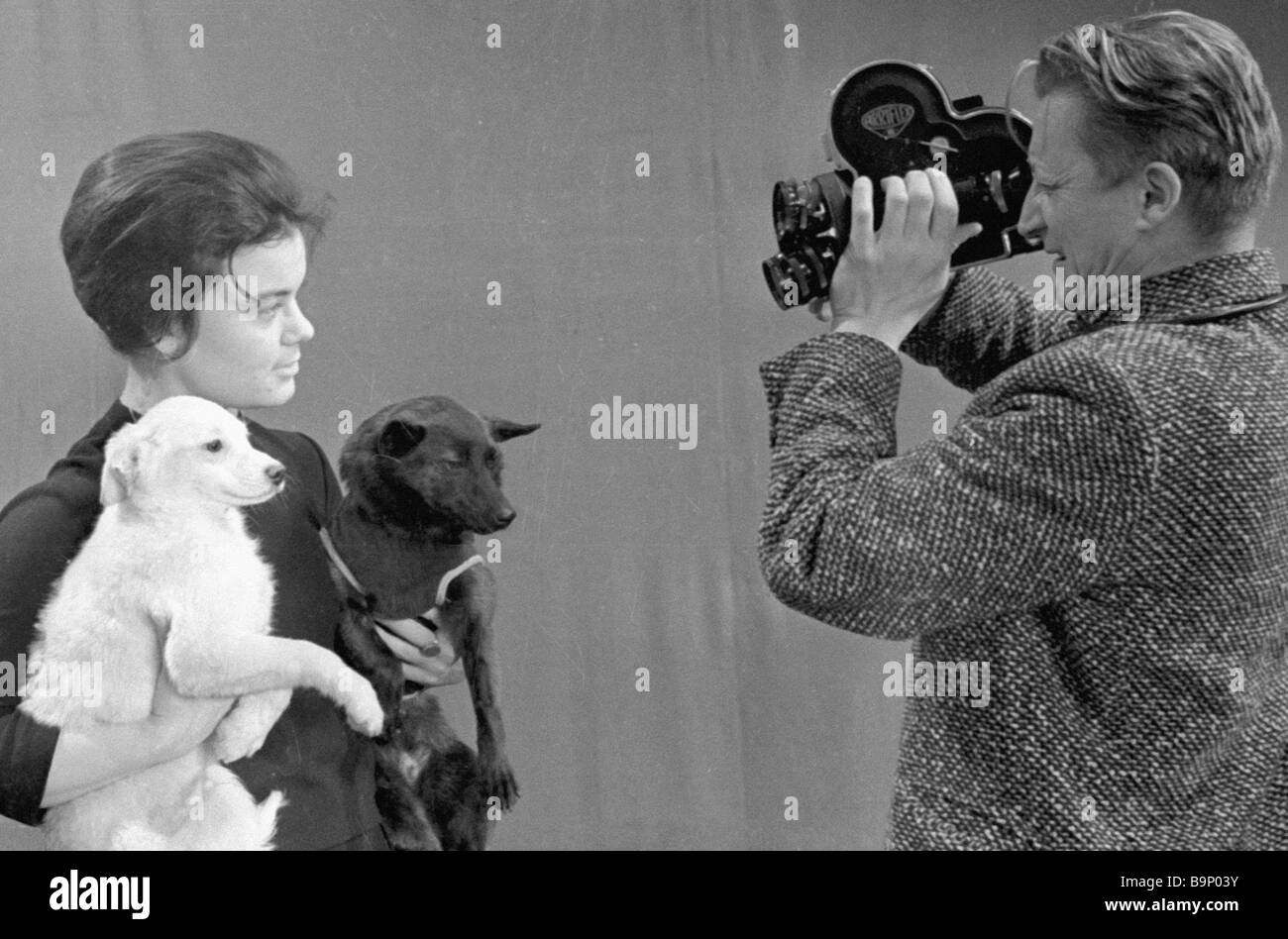 Dogs Tishka and Chernushka posing for a picture Stock Photo - Alamy