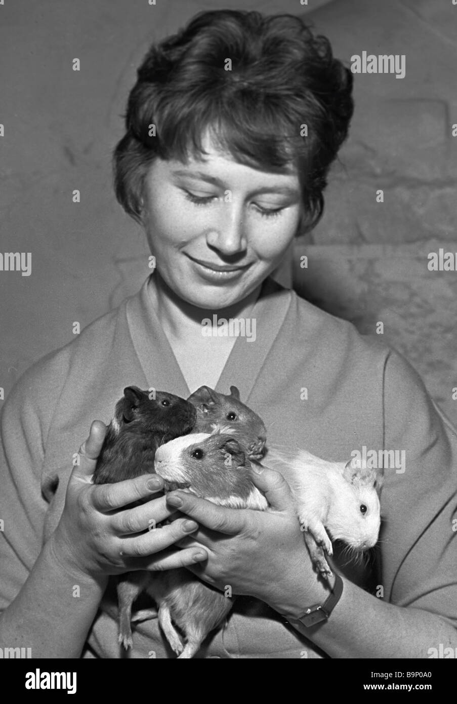 These guinea pigs made a space flight Stock Photo - Alamy