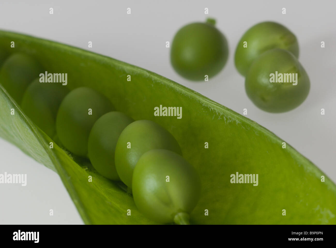 Genetically modified vegetables peas hi-res stock photography and ...