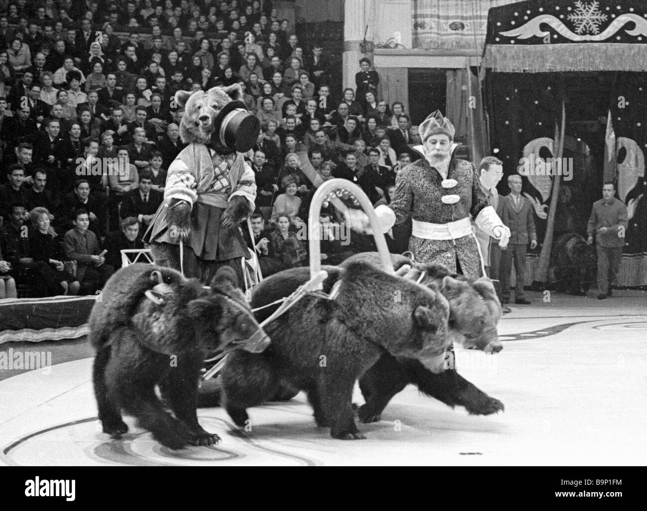Valentin Filatov with trained bears in circus arena Stock Photo - Alamy