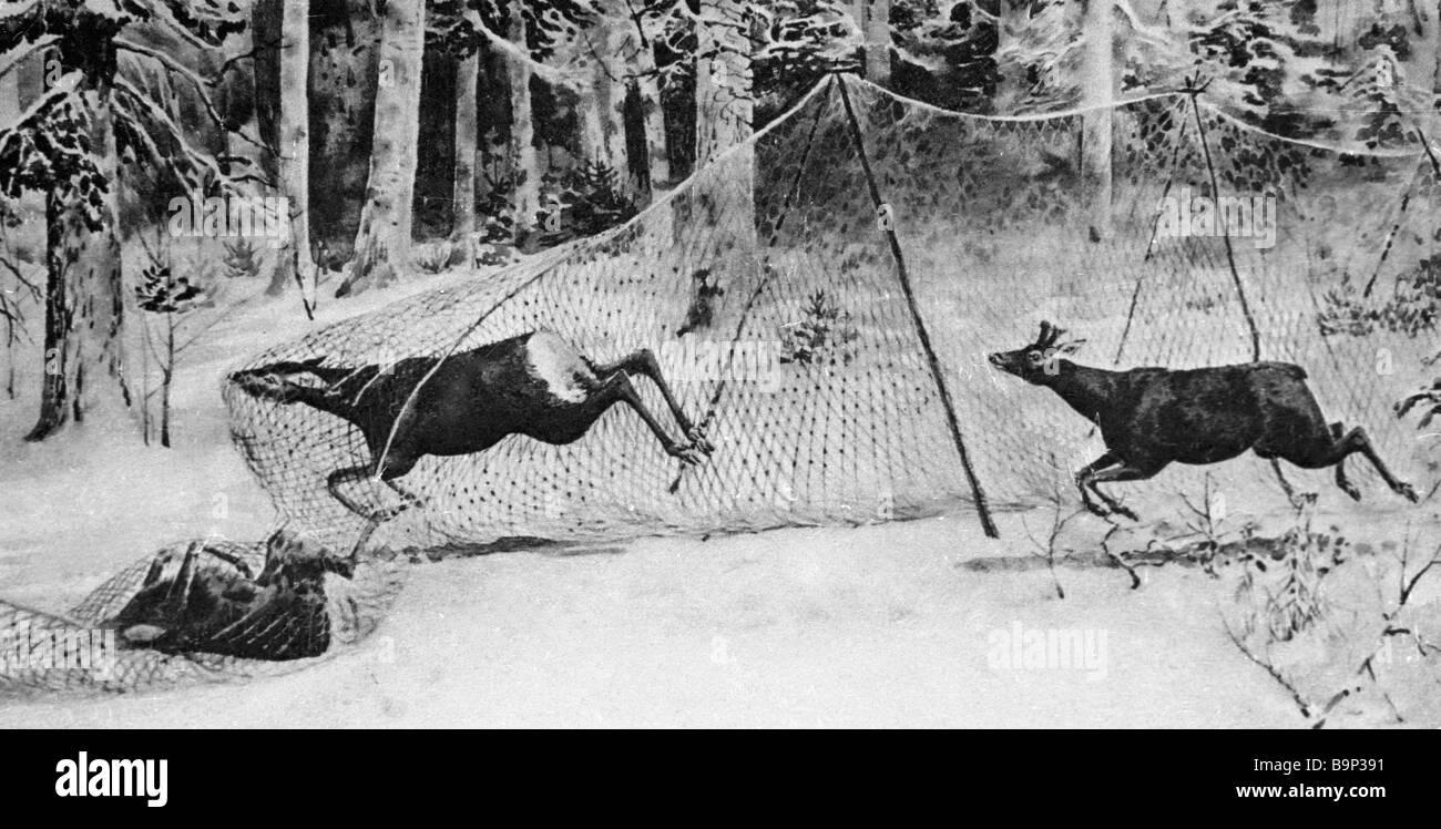 Hunters driving deer into nets in Belovezhskaya Pushcha Stock Photo - Alamy