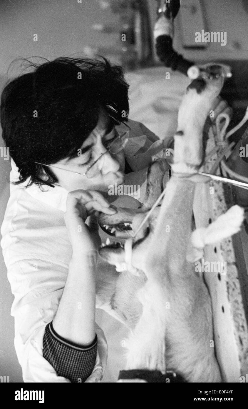 A researcher conducting a revival experiment on a dog at the laboratory ...