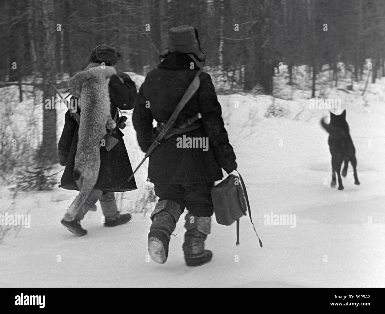 Hunter carries dead lynx on his shoulders in the Siberian taiga Stock ...