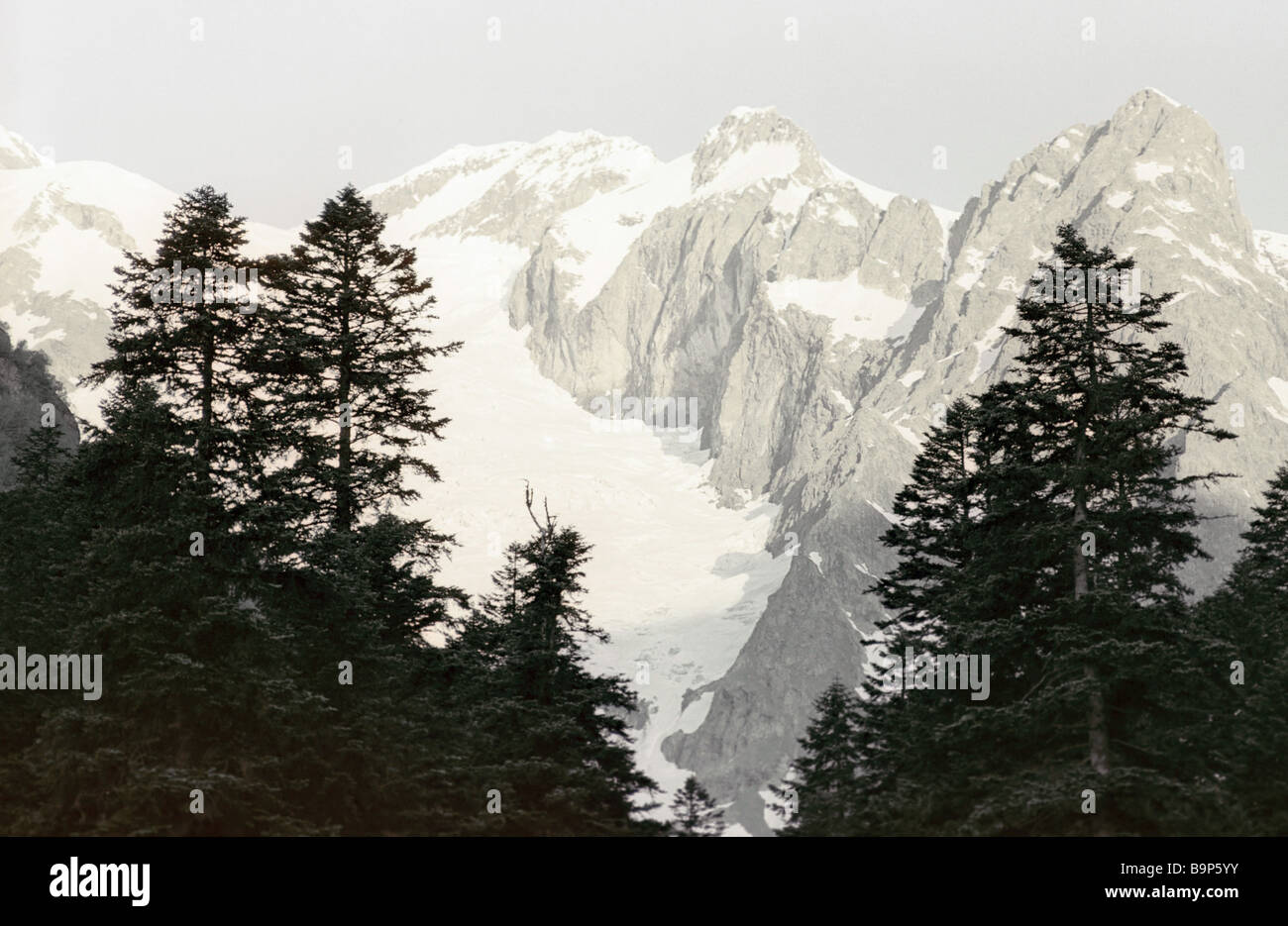 The Alibek glacier Stock Photo - Alamy
