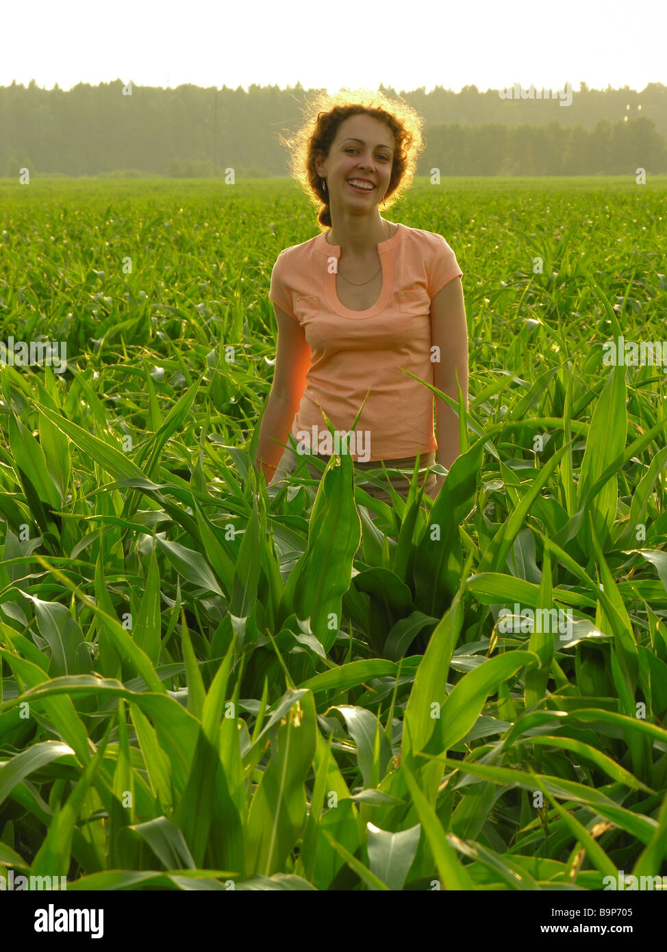 woman in field backlight Stock Photo - Alamy