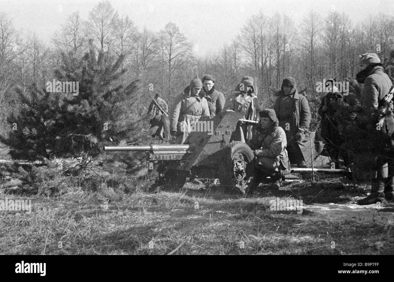 Kovpak s guerrilla unit preparing a gun for a battle Stock Photo - Alamy