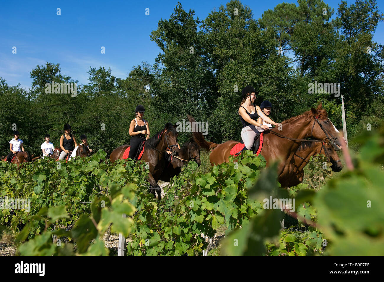 Cussac fort médoc hi-res stock photography and images - Alamy