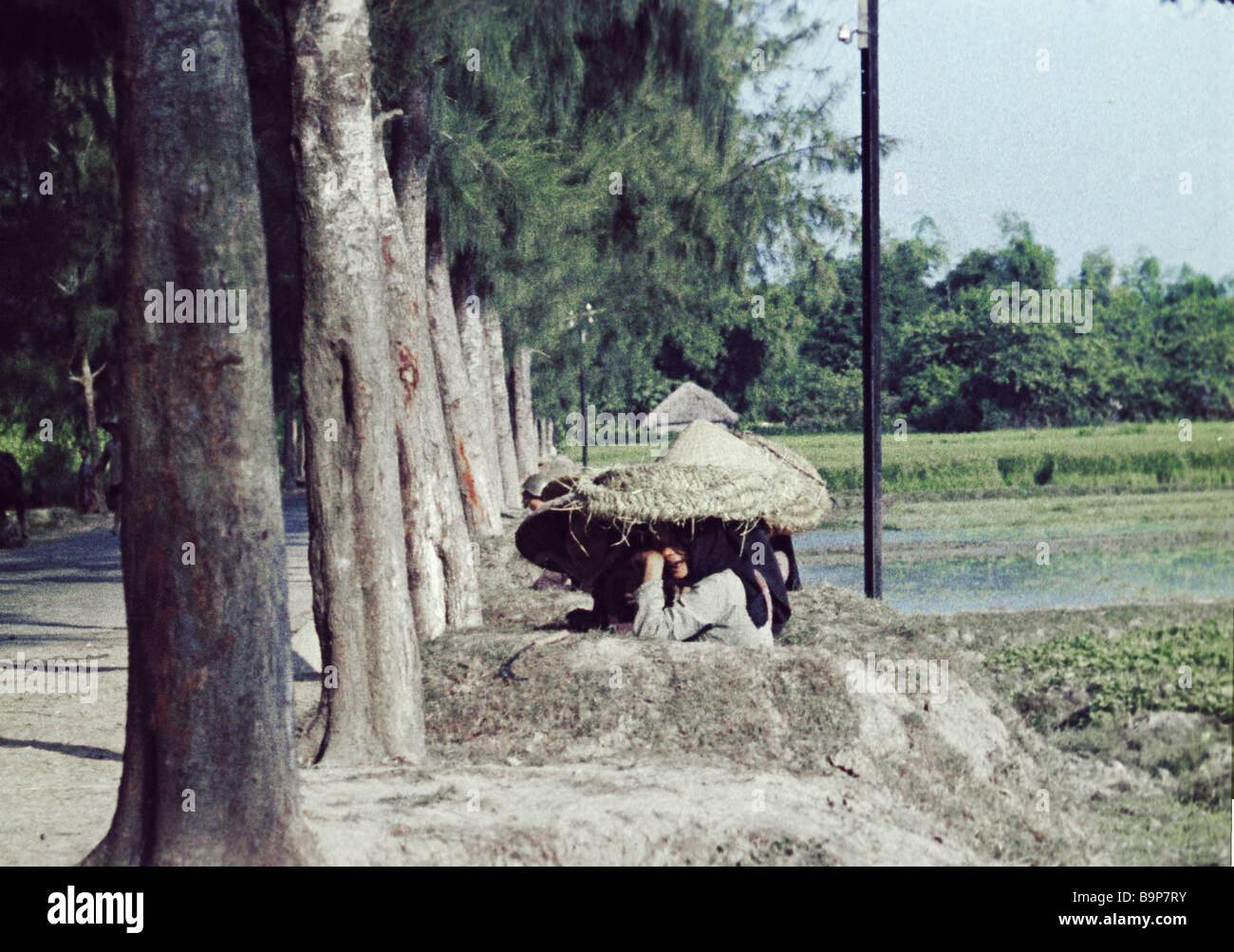 Straw Shields High Resolution Stock Photography and Images - Alamy