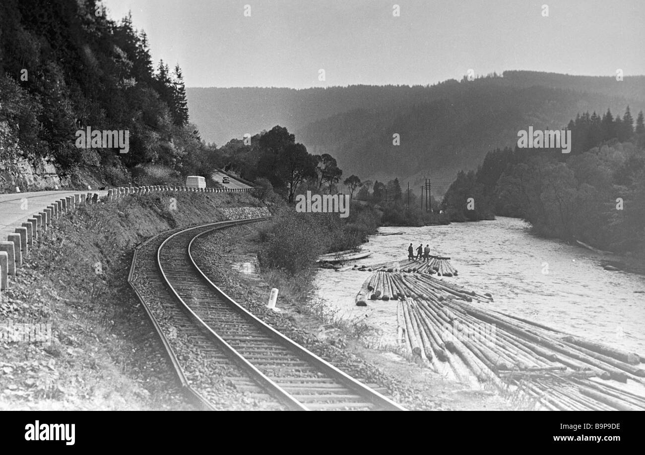 Rafters floating timber down the Bystrita River Stock Photo - Alamy