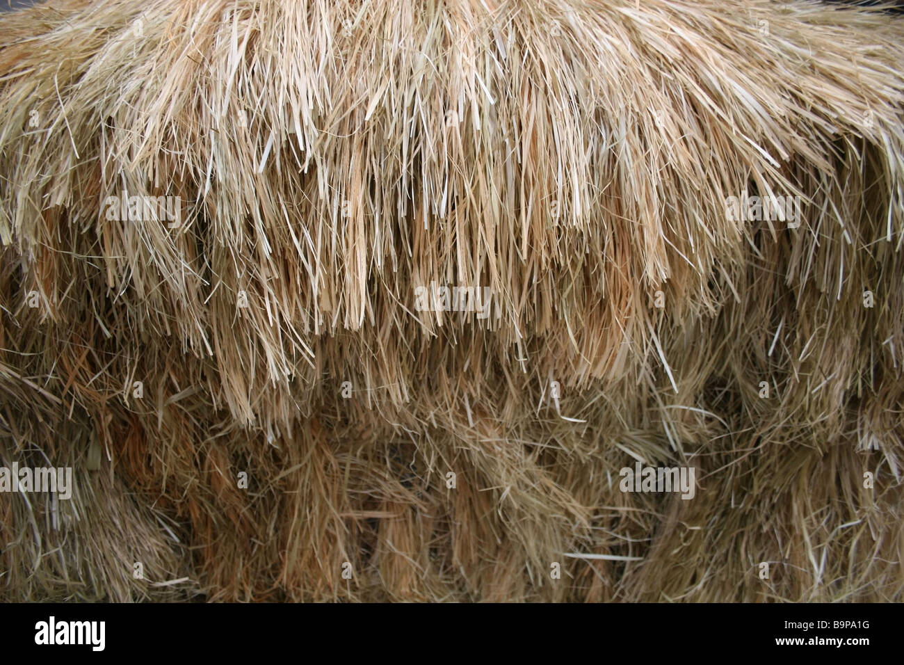 Straw wig hi-res stock photography and images - Alamy