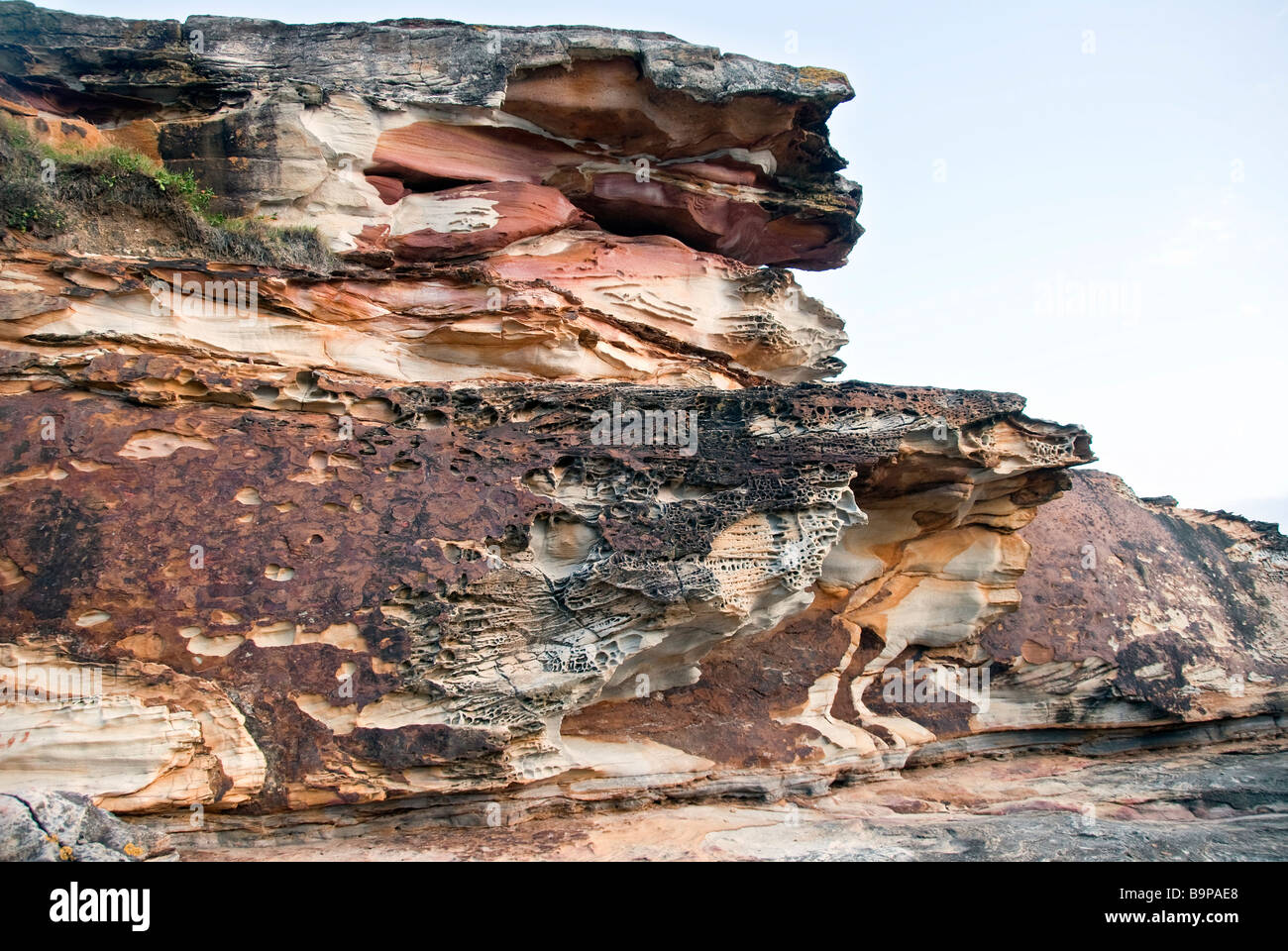 Central coast nrth of Sydney Australia typical marine rock shelf Stock ...