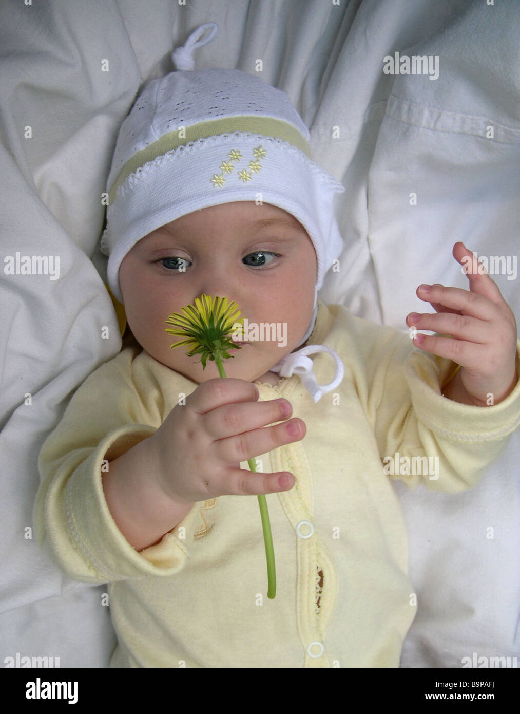 baby with flower Stock Photo - Alamy