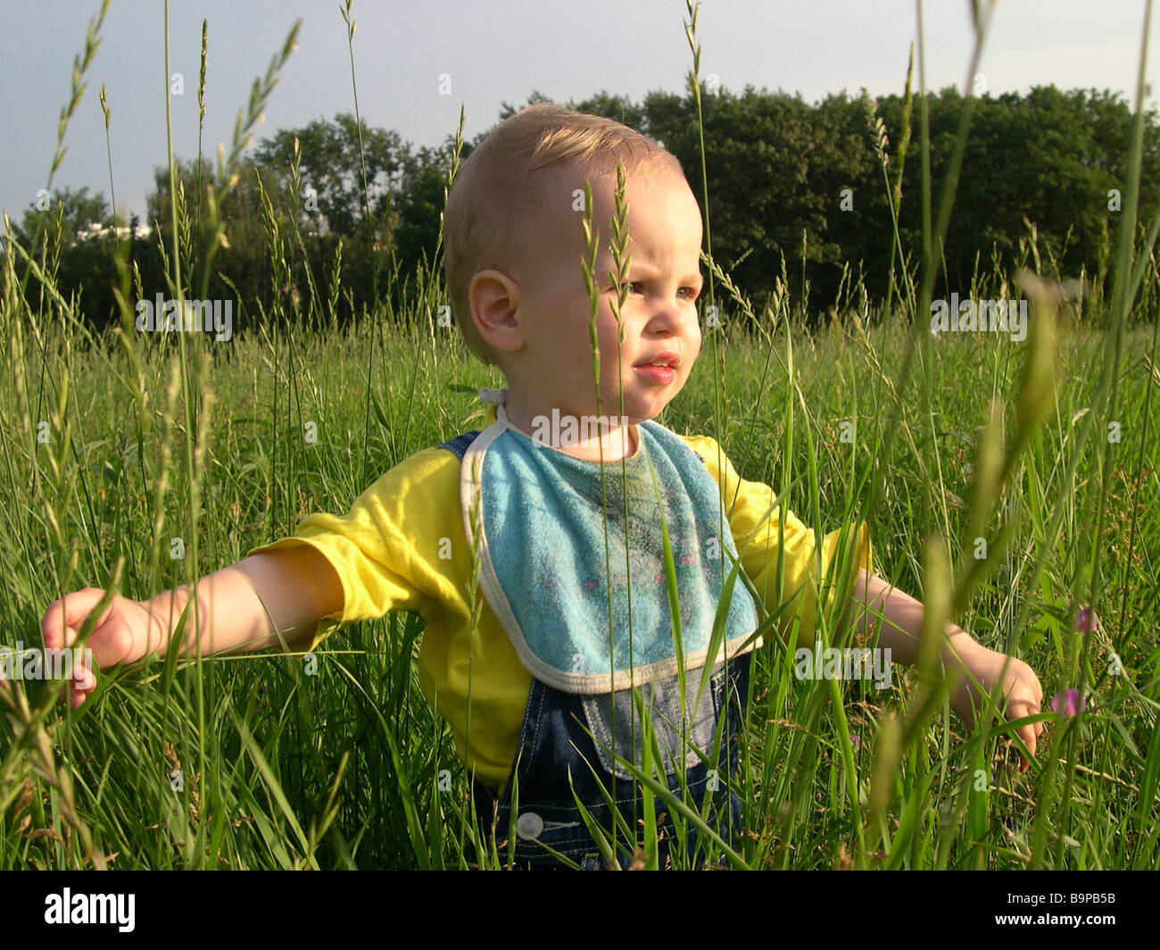 child in herb Stock Photo - Alamy