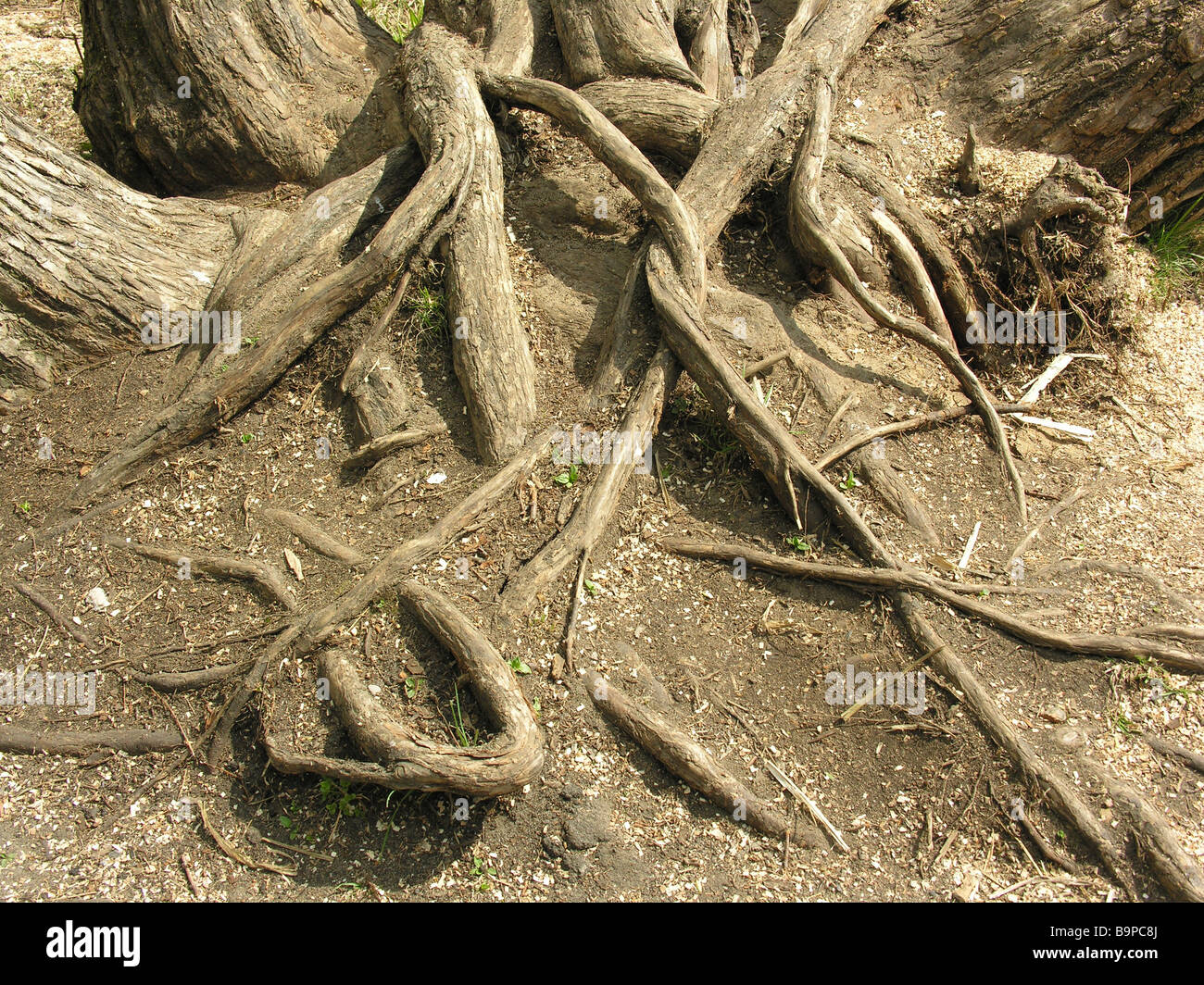 Uproot the system hi-res stock photography and images - Alamy