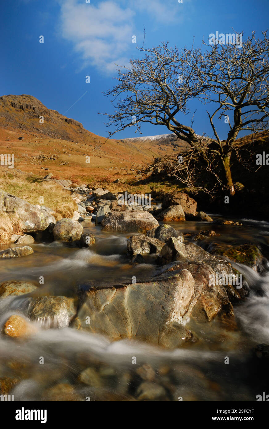 Nether High Resolution Stock Photography and Images - Alamy