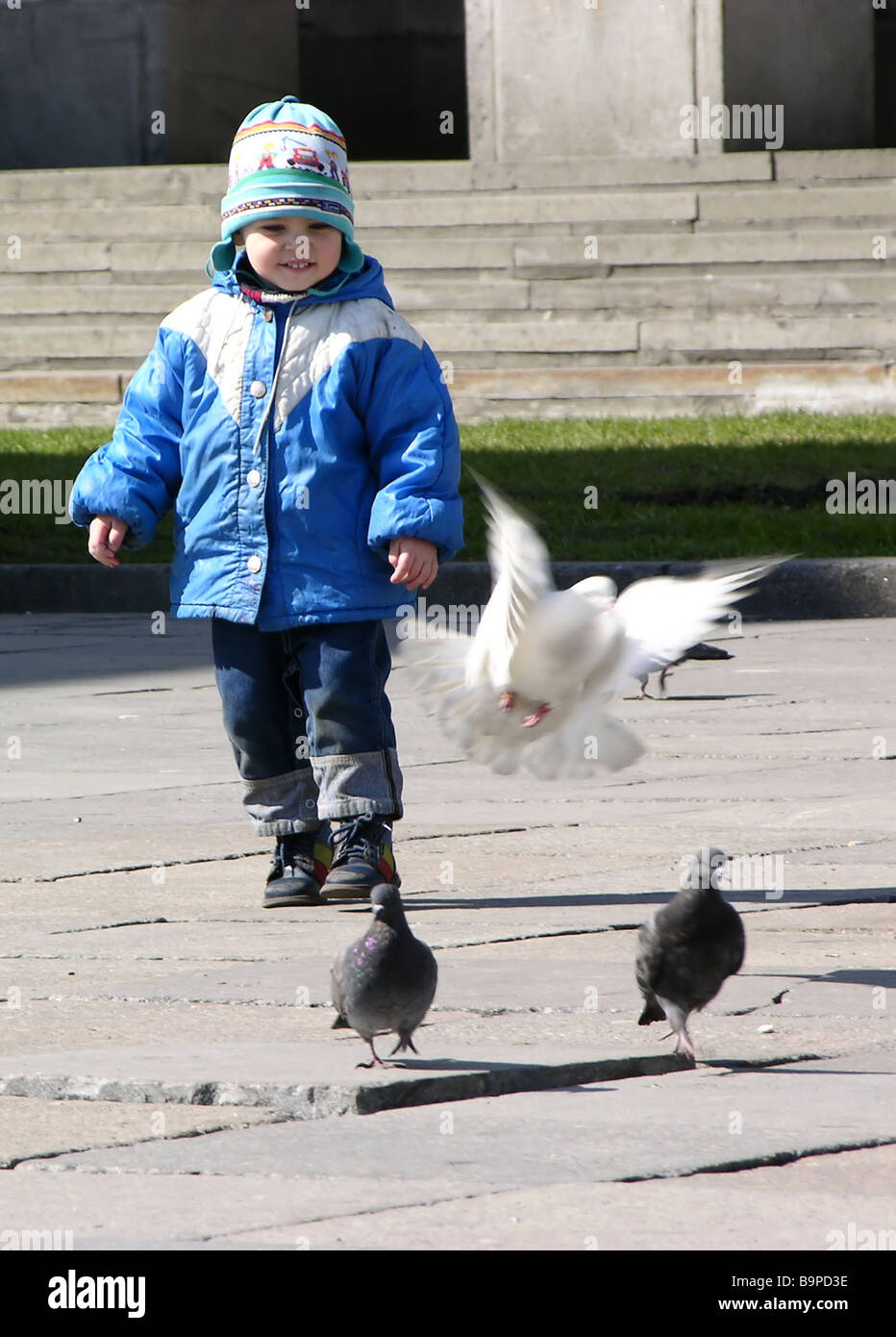 child with fly dove Stock Photo - Alamy