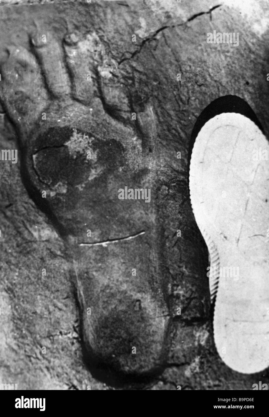 Footprint of a snowman Stock Photo - Alamy