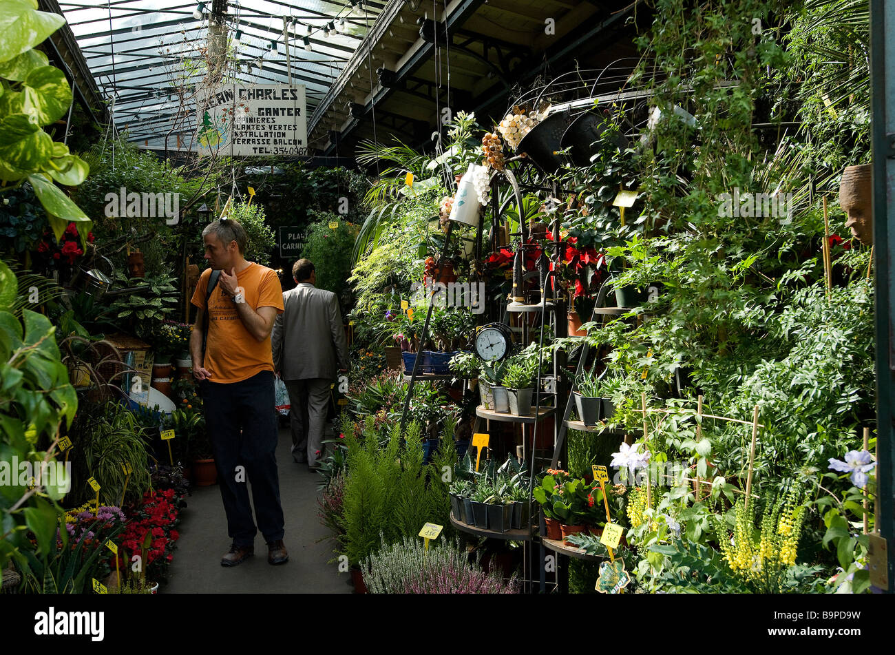 France, Paris, Ile de la Cite, flower market Stock Photo - Alamy