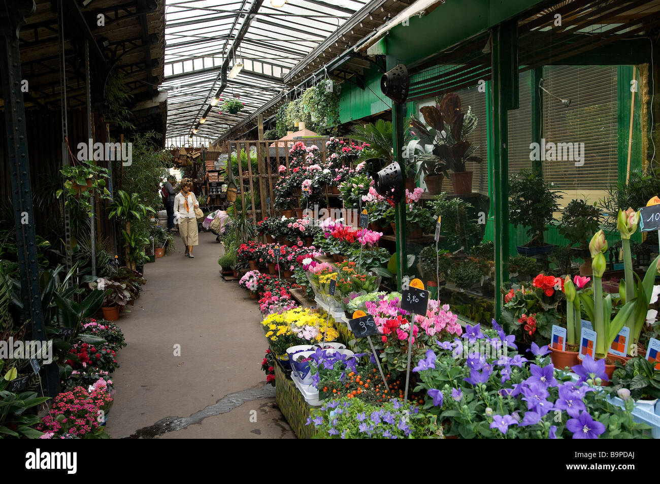 France, Paris, Ile de la Cite, flower market Stock Photo - Alamy