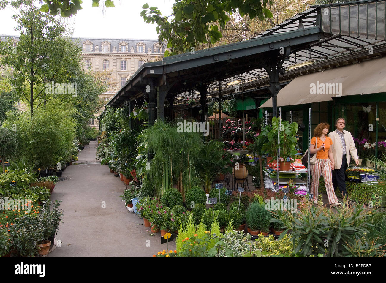 France, Paris, Ile de la Cite, flower market Stock Photo - Alamy