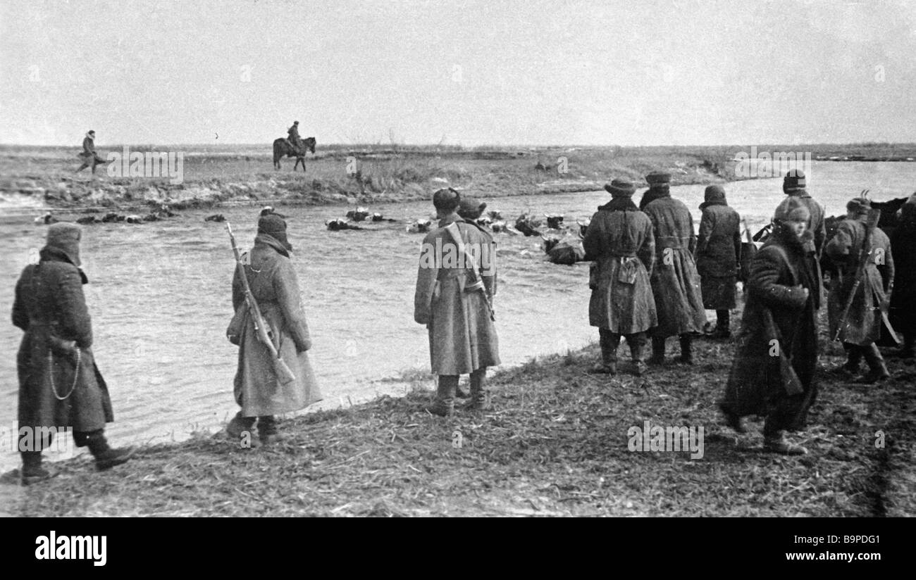 Sydir Kovpak s guerrilla unit members moving the cattle won back from ...