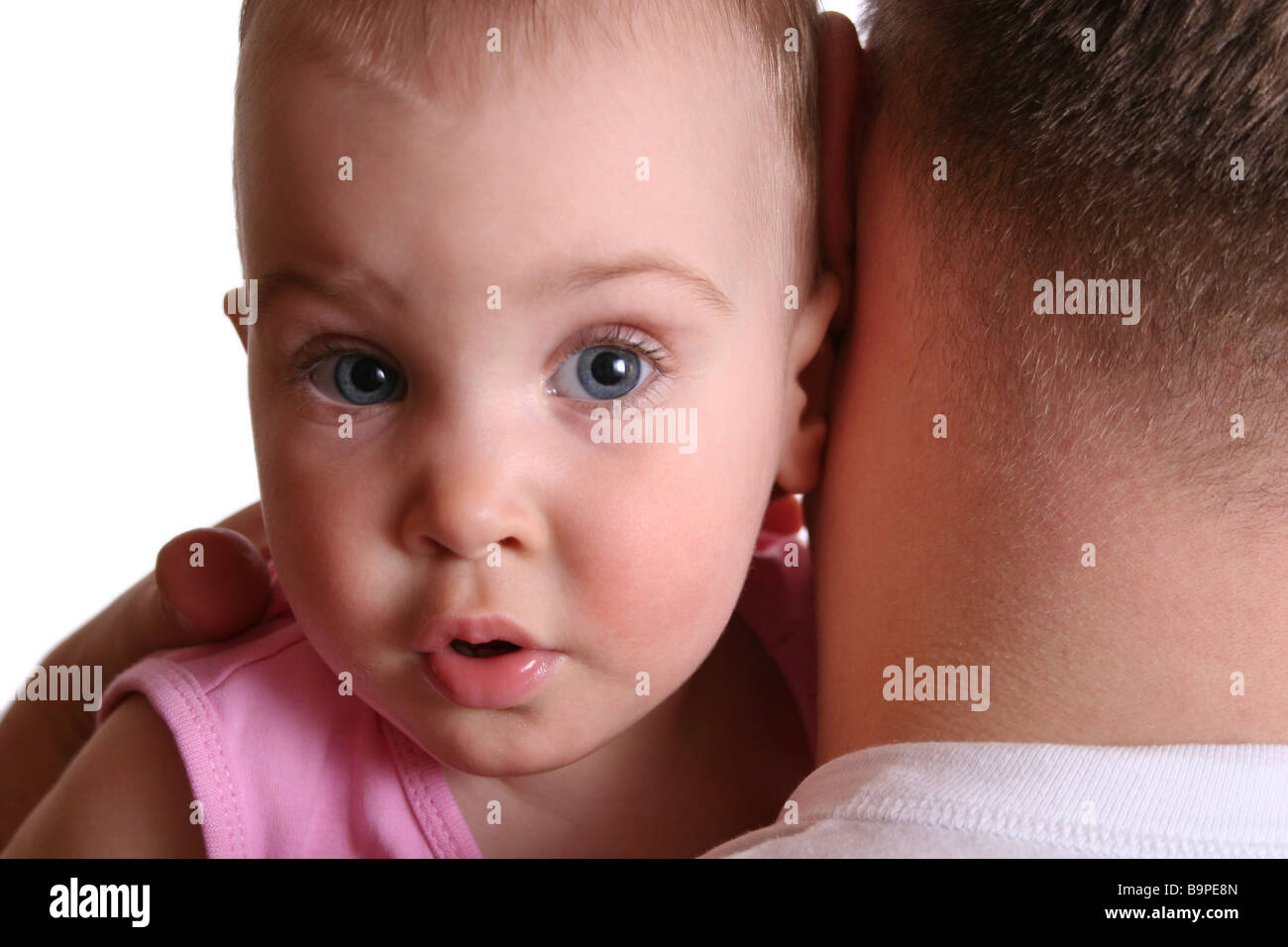 Toto and his family hi-res stock photography and images - Alamy