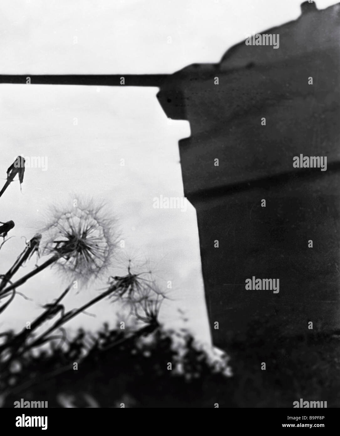 Armored towers with long barrels mounted on cemented bases marked the ...