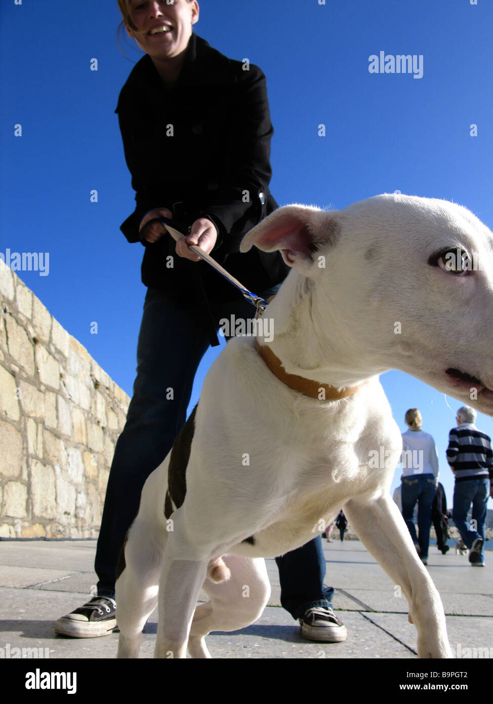 Walking lead hi-res stock photography and images - Alamy