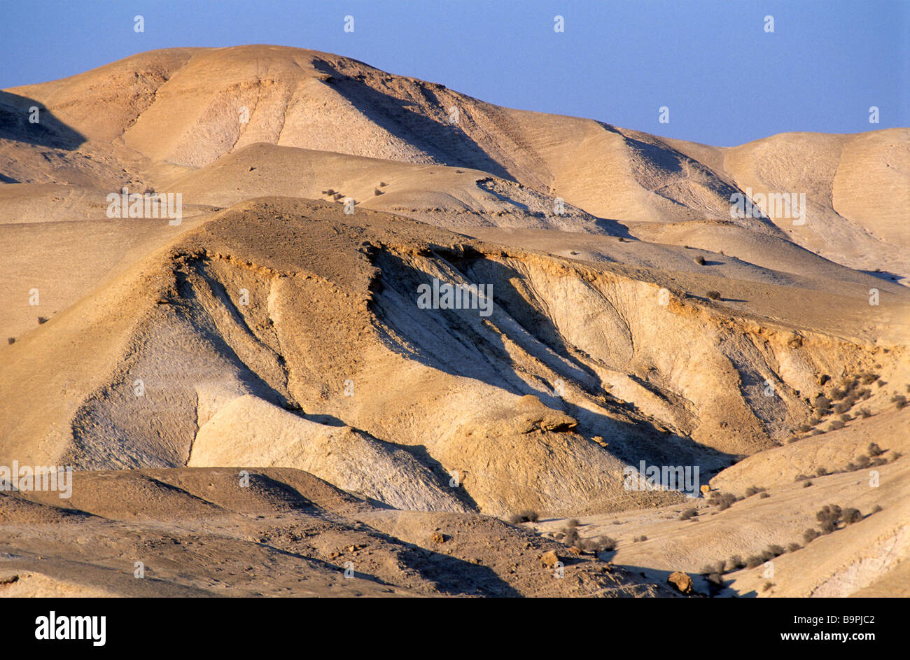 Palestine, West Bank (disputed territory), Judean Desert near Jericho ...
