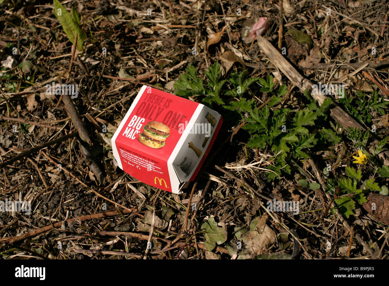 Big mac box hi-res stock photography and images - Alamy