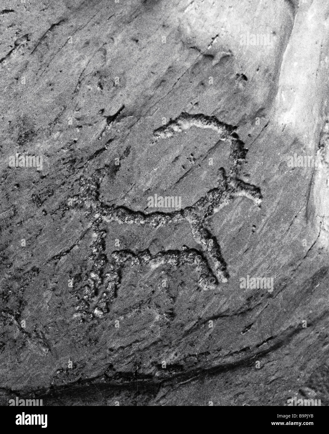 This cave drawing of wooden goat made over 3 000 years ago was found ...