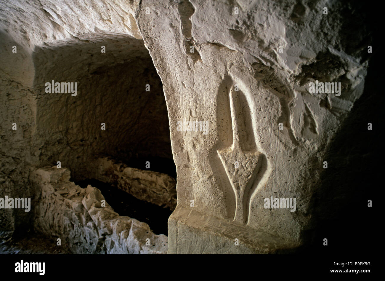 Israel, Haifa district, Galilee, Beit She'arim National Park, Cave of Coffins, palm tree branch ...