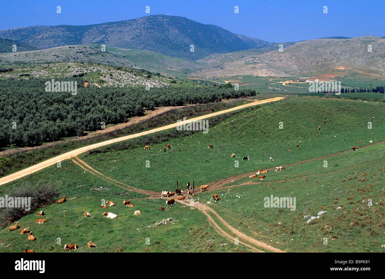 Kibbutz ayelet hashahar hi-res stock photography and images - Alamy