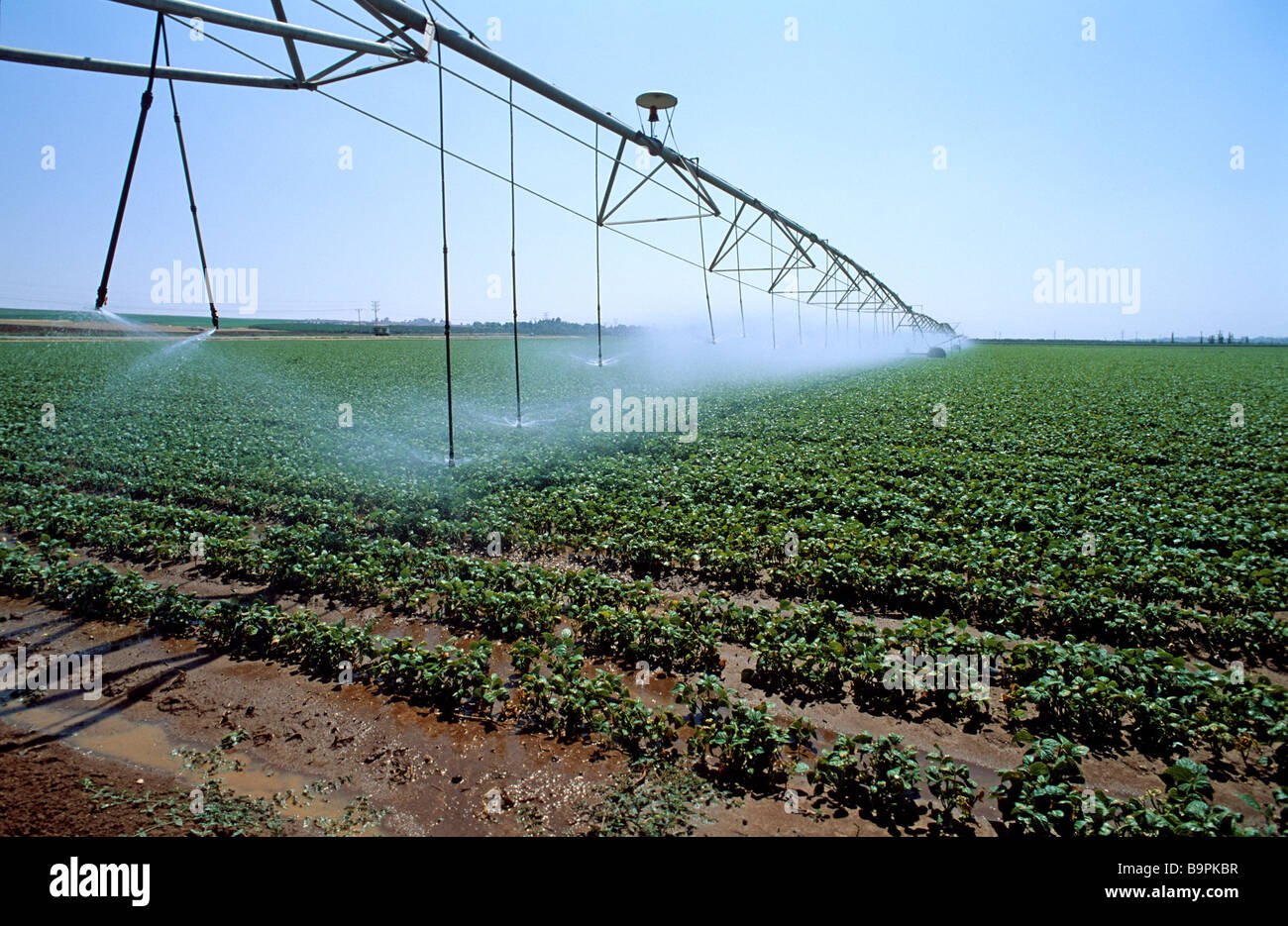 Irrigation ramp hi-res stock photography and images - Alamy