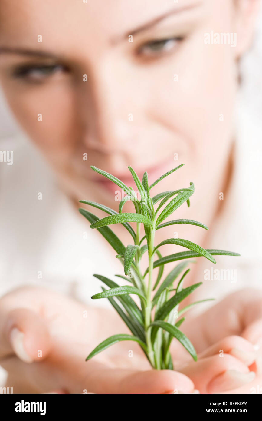The rosemary hi-res stock photography and images - Alamy