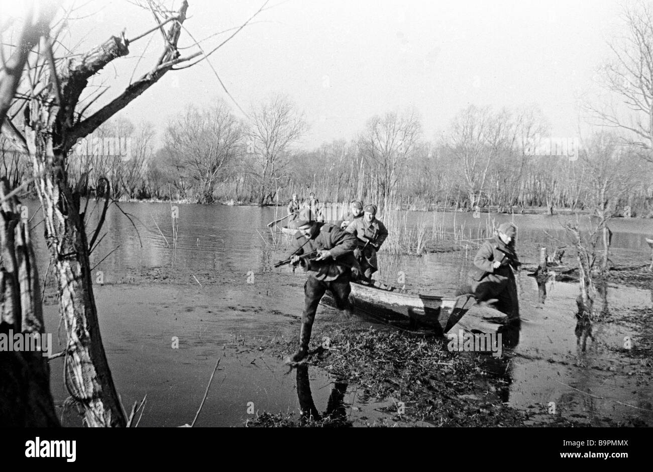 Water Soldiers High Resolution Stock Photography and Images - Alamy