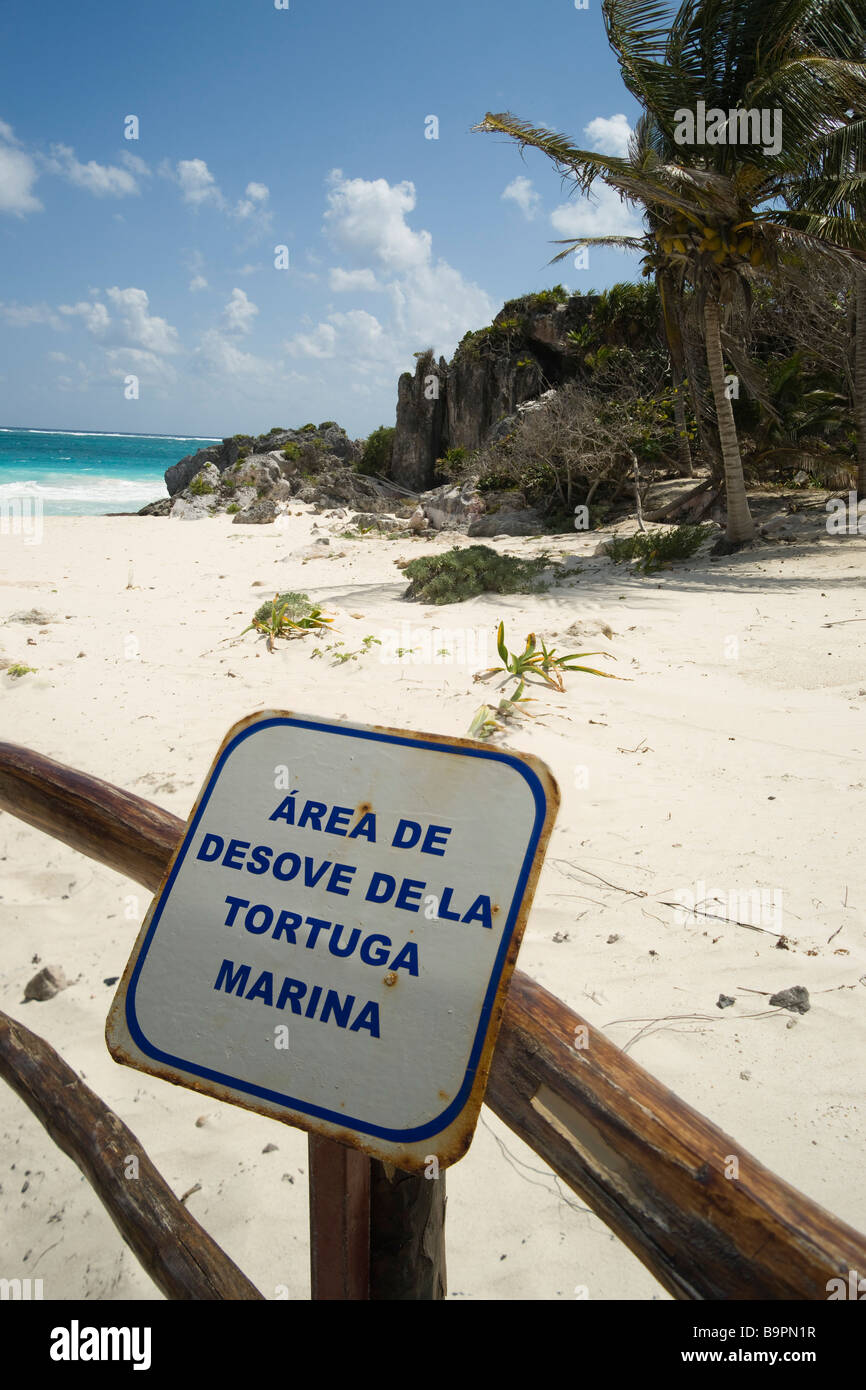 Mexico Yucatan 2009 Tulum turtle breeding reserved beach Area de Desove ...