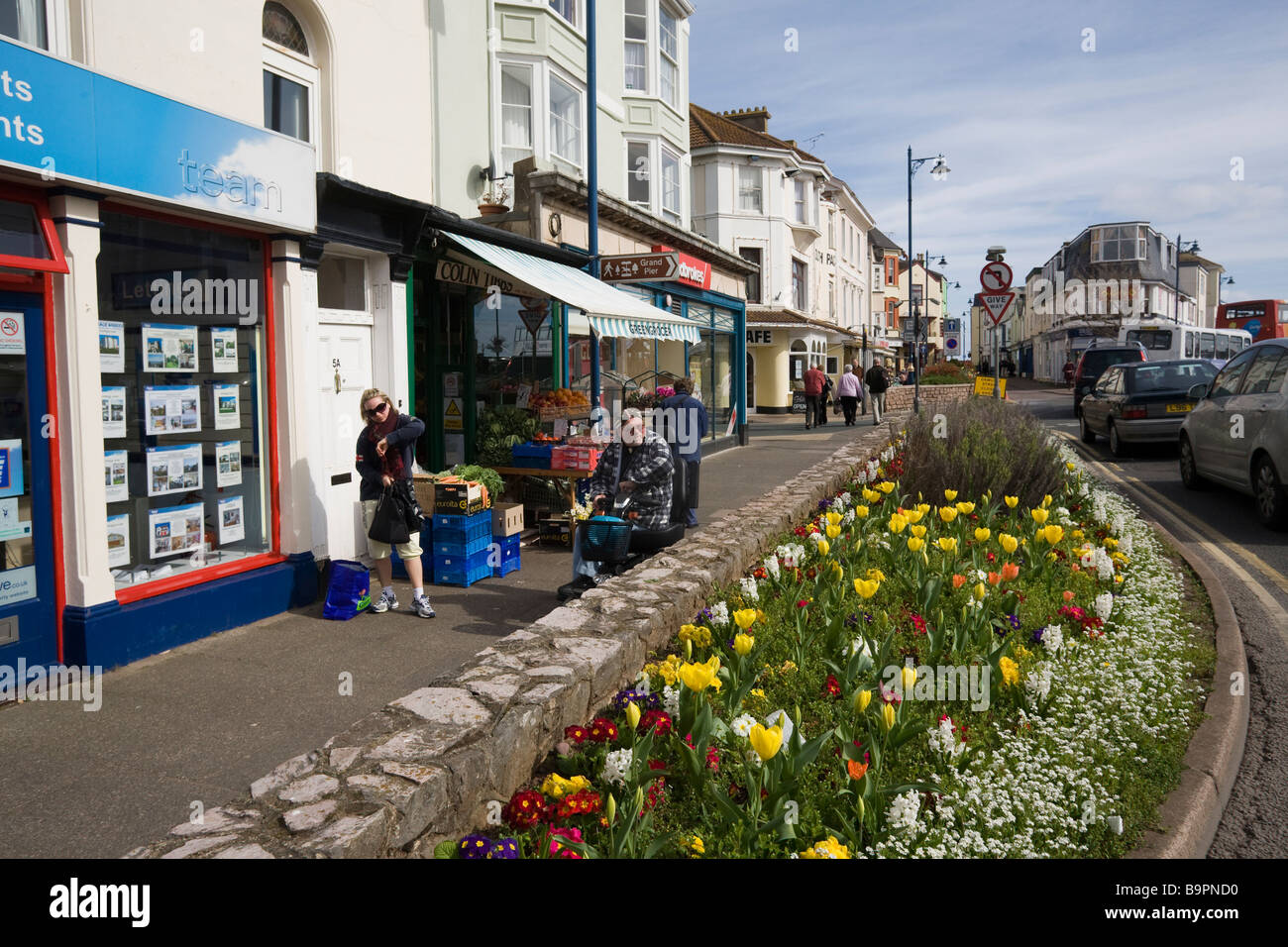 Devon flower hi-res stock photography and images - Alamy