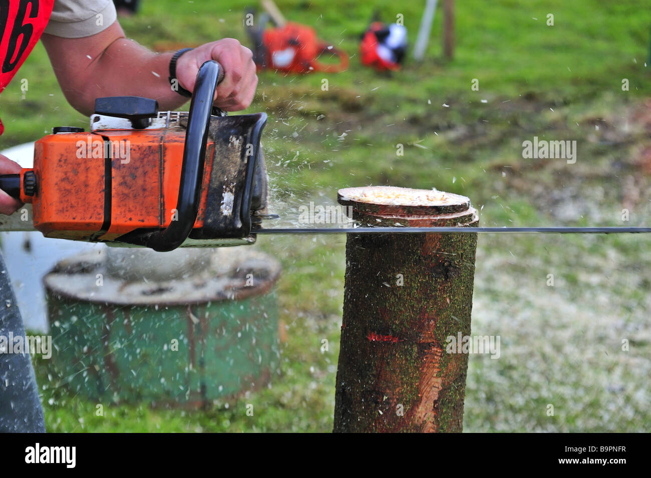 Chainsaw in action Stock Photo - Alamy