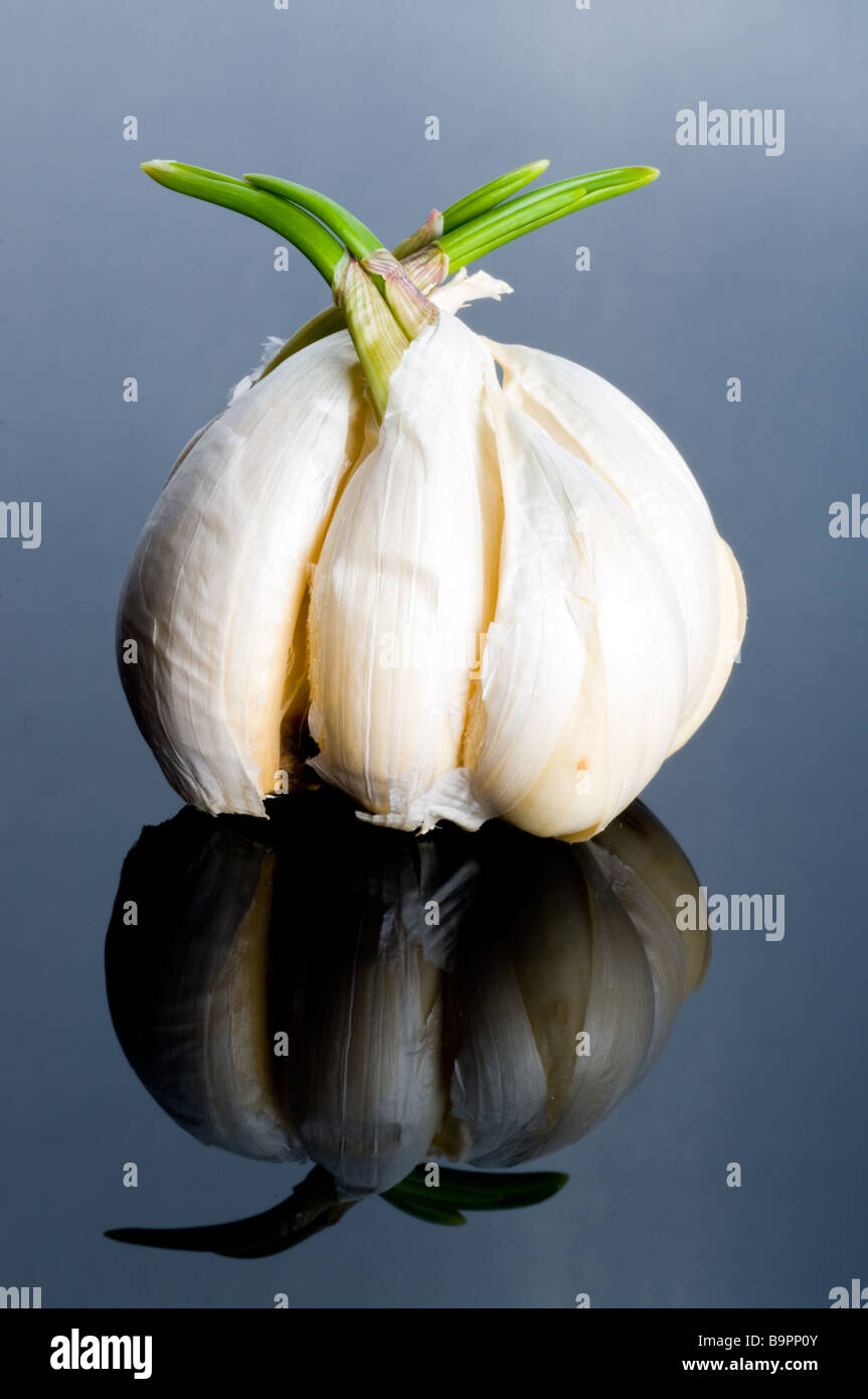 Fresh segments of garlic isolated Stock Photo - Alamy