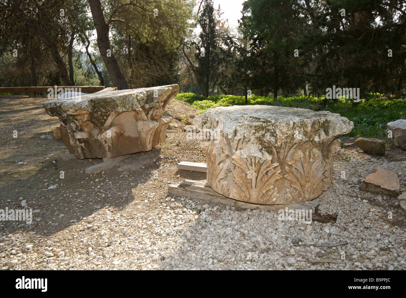 Tzipori national park hi-res stock photography and images - Alamy