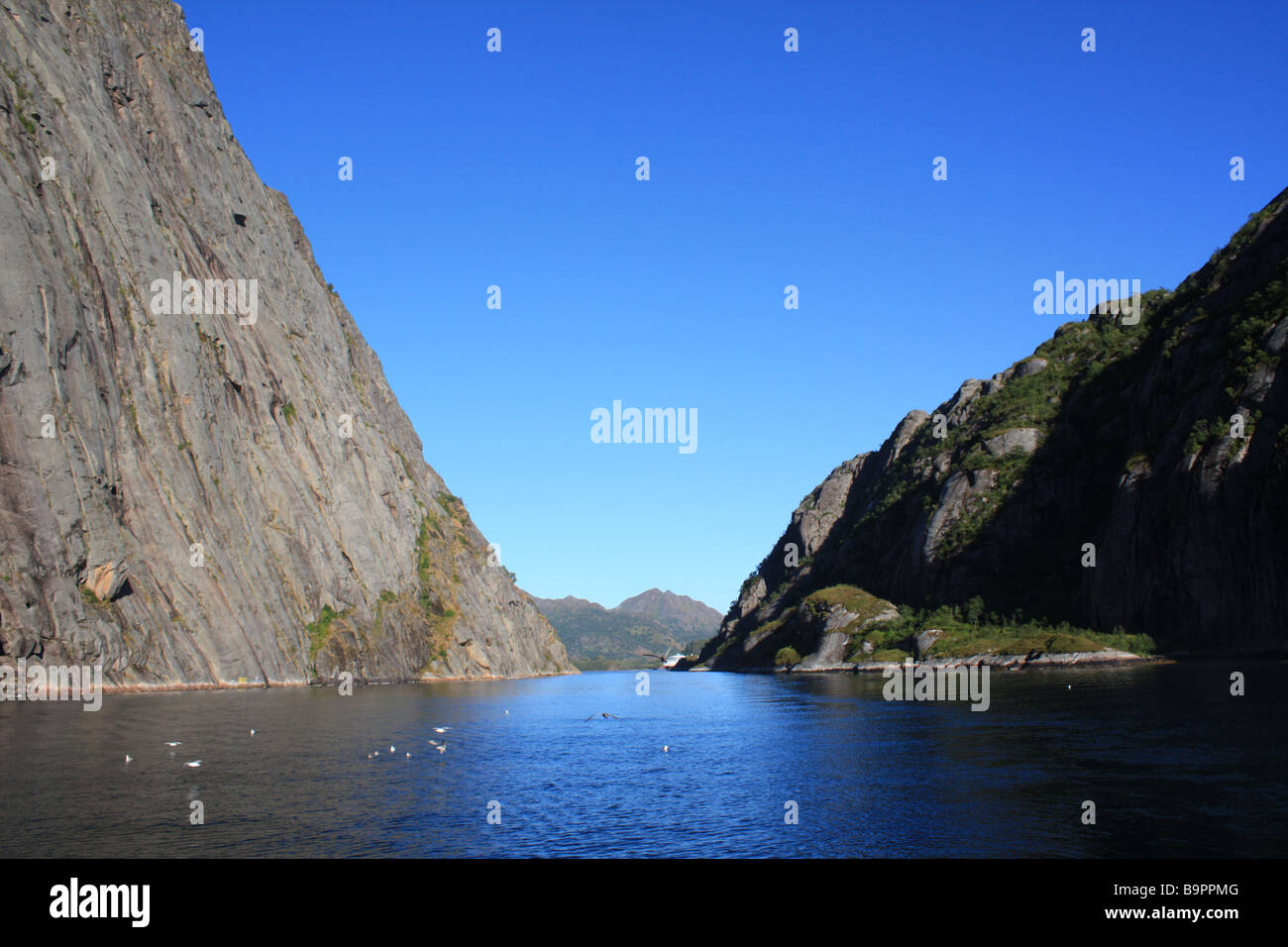 Lofoten fjord hi-res stock photography and images - Alamy