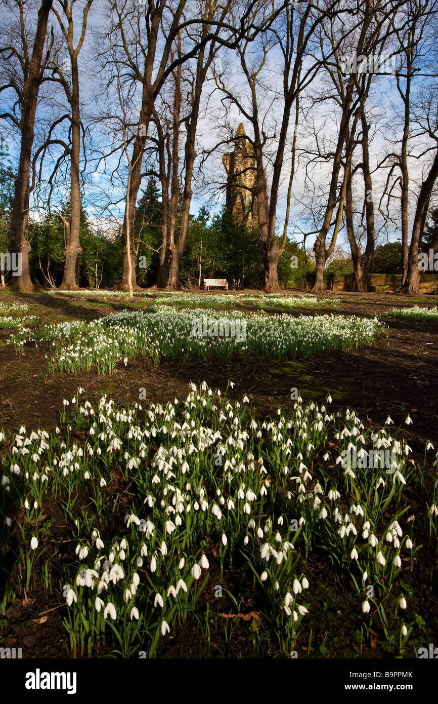 Gisborough Priory Gardens High Resolution Stock Photography and Images ...